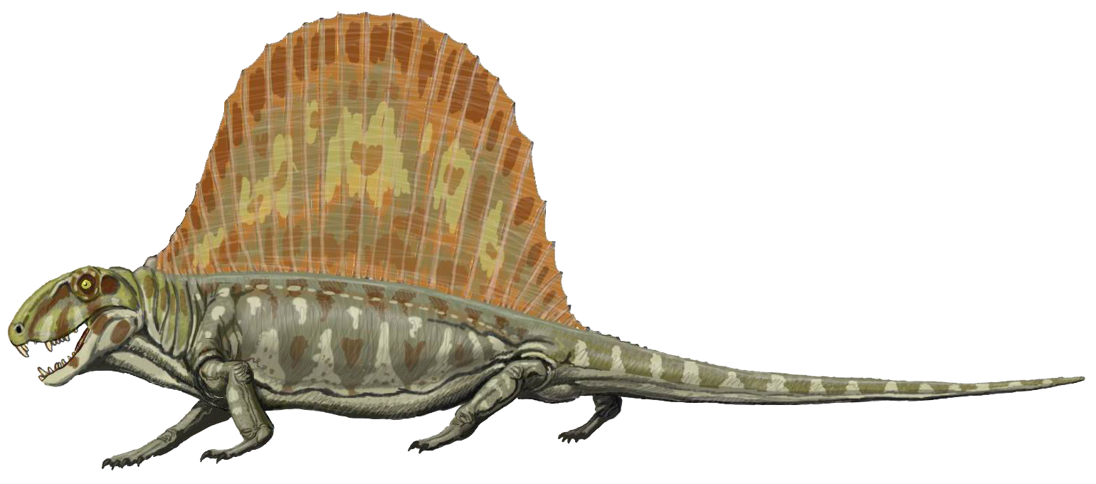 The Expeditioner's Discovery Guild: A little bit of Everything: Paleo ...