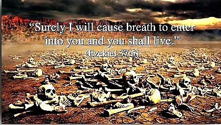 The Tunnel Wall: The former dry bones of Jews are alive and thriving ...