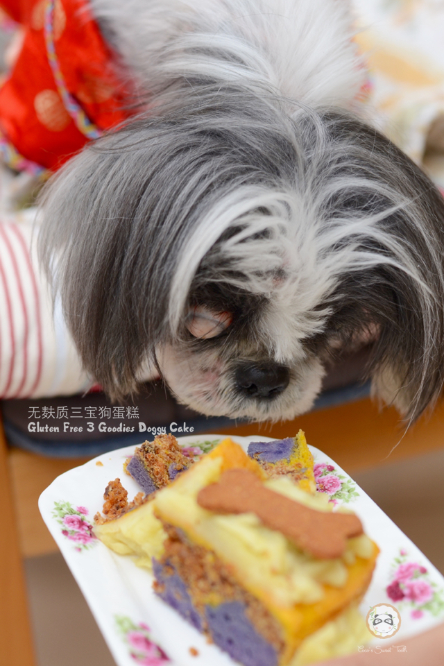 Coco's Sweet Tooth ......The Furry Bakers: 无麸质三宝狗蛋糕 Gluten Free 3 ...