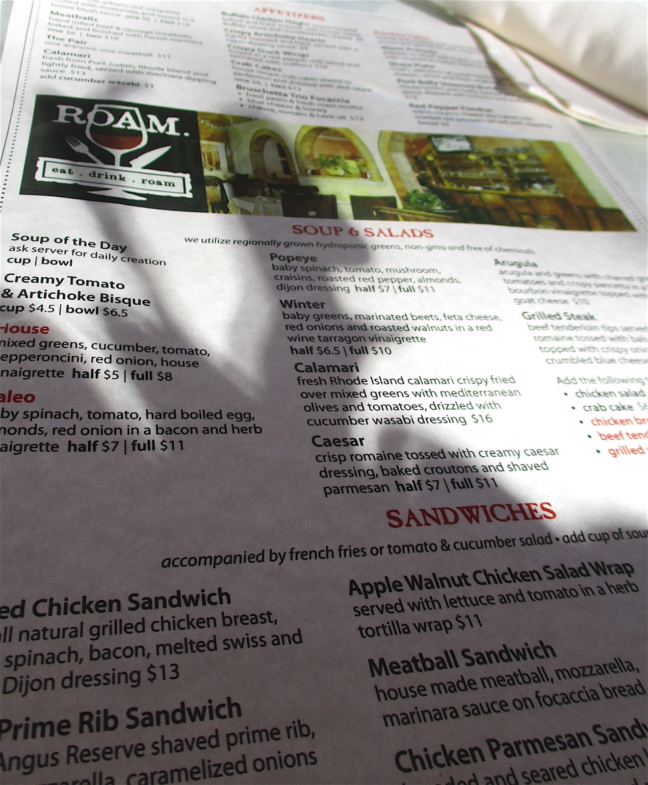 THE SKOOG FARM JOURNAL: Roam Cafe....