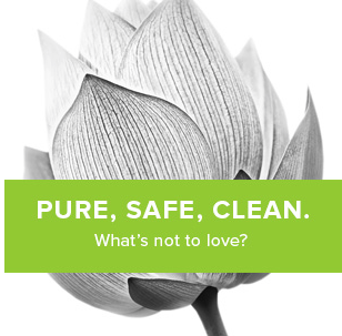 Live Clean Products by Modere: Live Clean Products - Aloe Vera Support ...