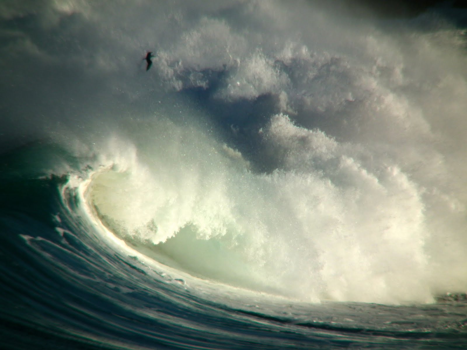 Carnet de voyage: Australie: Journée où la mer est très agitée