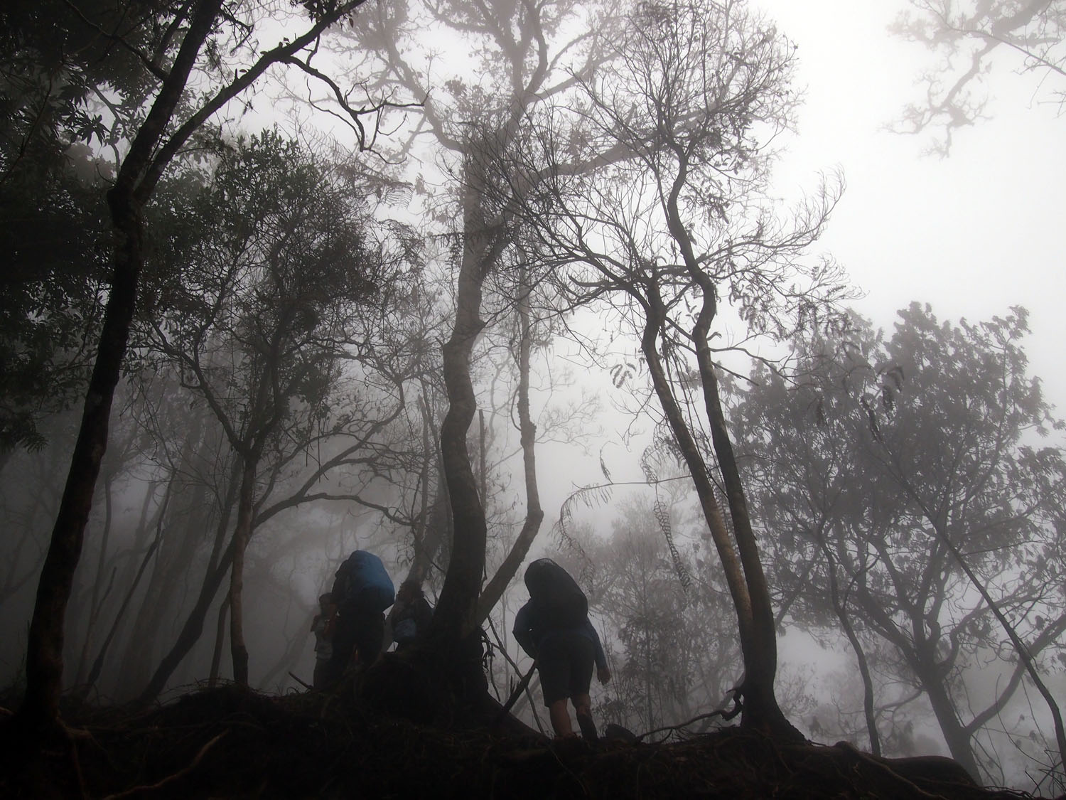 Mendaki Gunung Cikurai jangan berharap bonus | Beyond Vacation