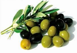 Fruit Farming Pakistan Zaitoon Cultivation Olive Growing Season Olive ...