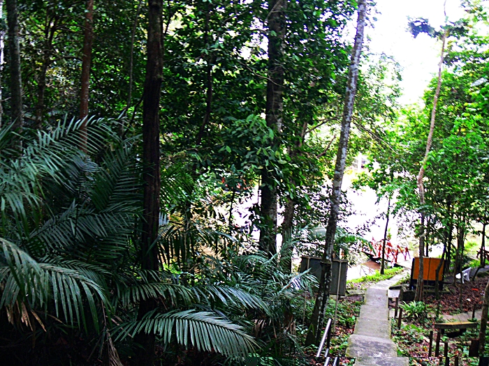 Foto Memori Ku: Istimewanya Hutan Lipur Soga Perdana , Batu Pahat