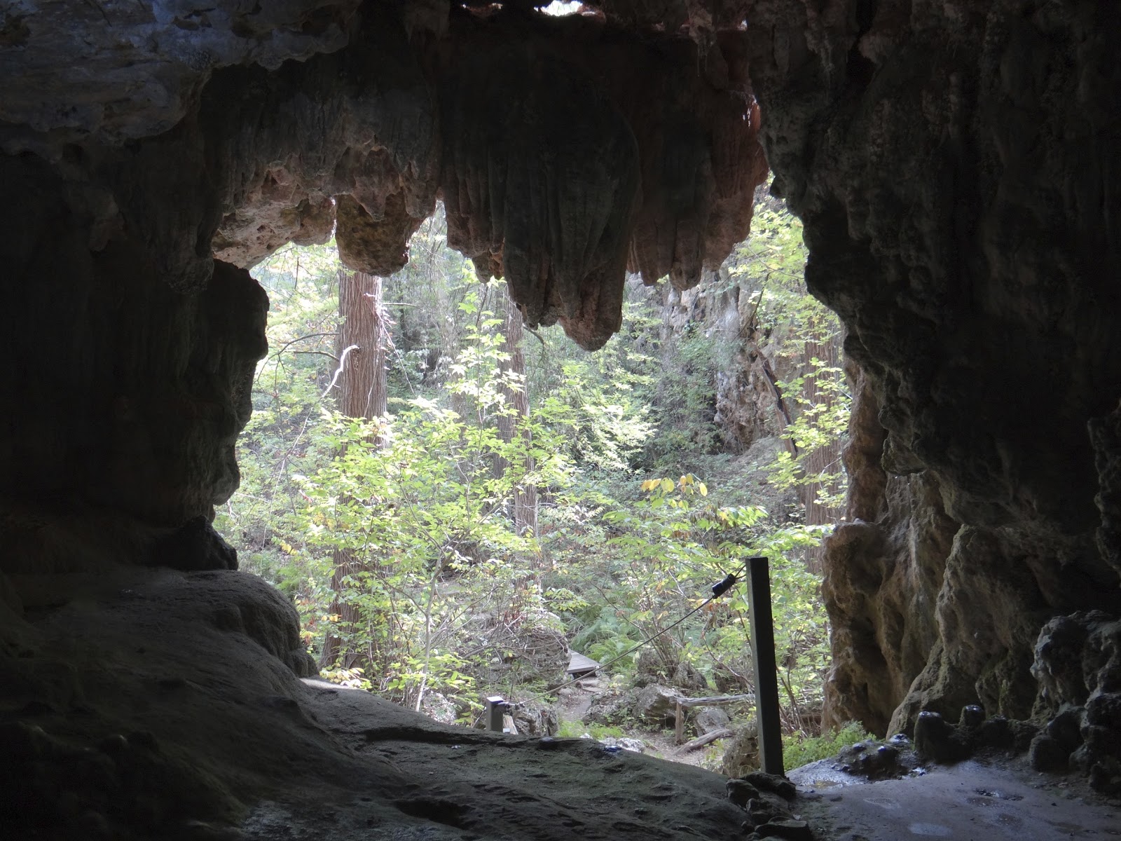 The Eyrings: Hiking in Austin... some amazing sights!