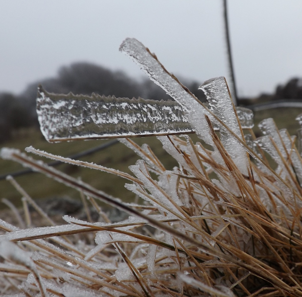Dartmoor Ramblings: HOAR FROST