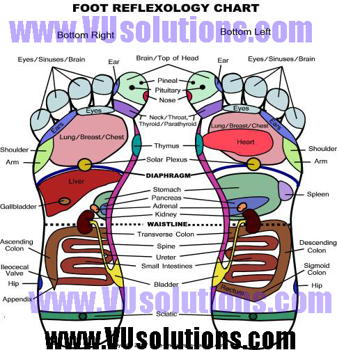 Virtual University Solved Assignments Online Quiz Past Papers GDB ...