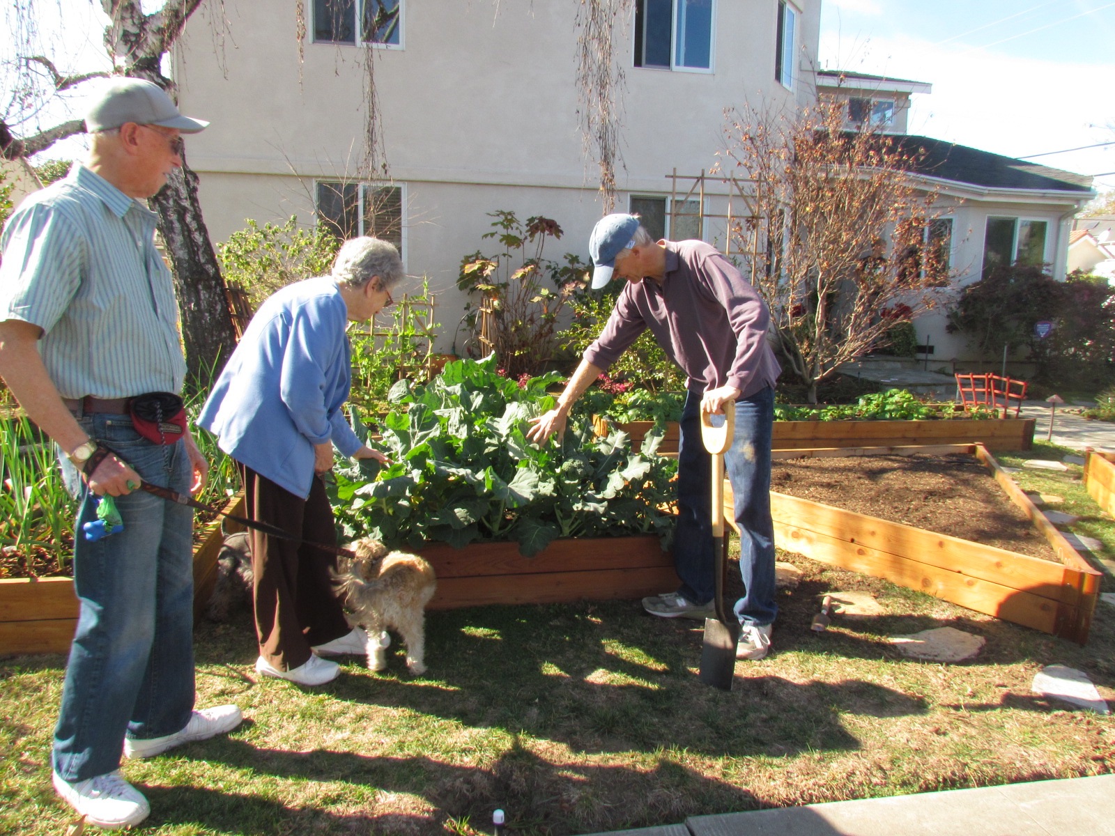 2018 Mar Vista Green Garden Showcase: Mar Vista Green Garden Showcase ...