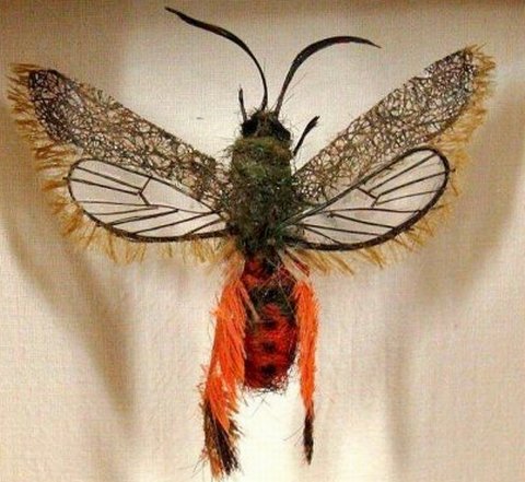 Insect Artist, Creates Bug Sculptures From Human HairThe Again