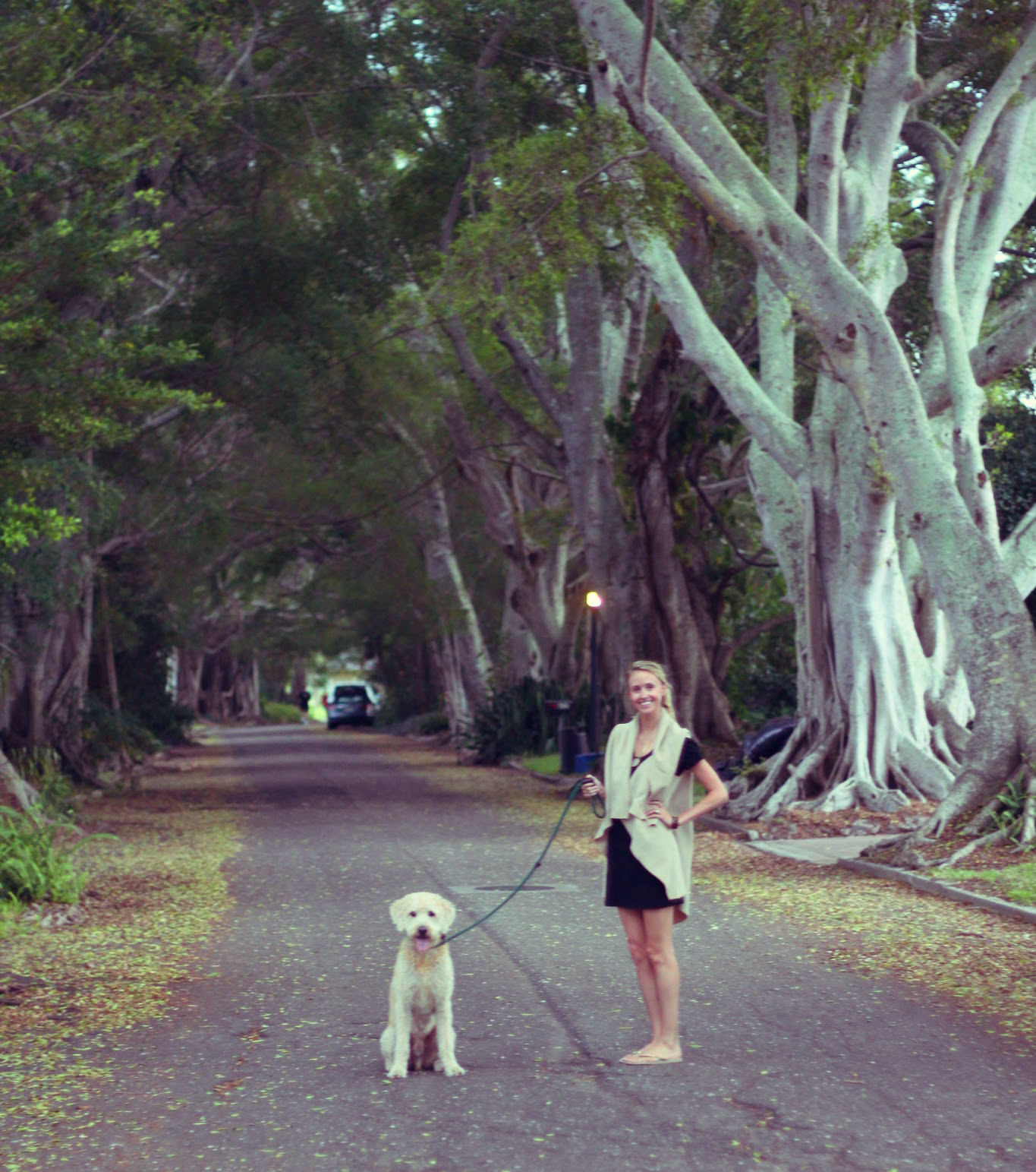 roscoe - Sarah Tucker