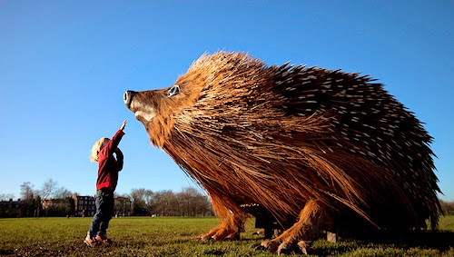 The Presurfer: Giant Hedgehog