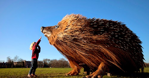 The Presurfer: Giant Hedgehog