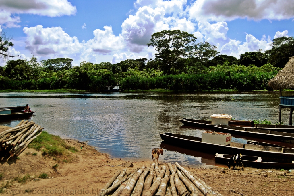 oswaldo barba FOTOGRAFO: TRINIDAD - BENI - BOLIVIA