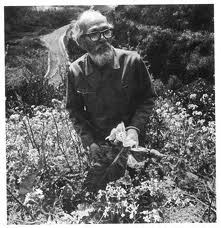 Pensamiento Autodidacta: Masanobu Fukuoka