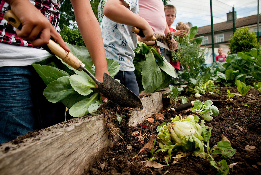 Neighborhood/Community Gardens