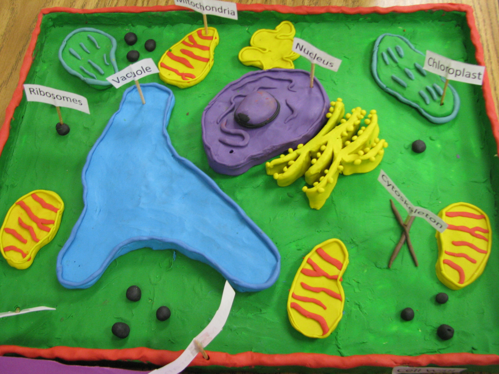 Teaching the Kid: The Cell Project!