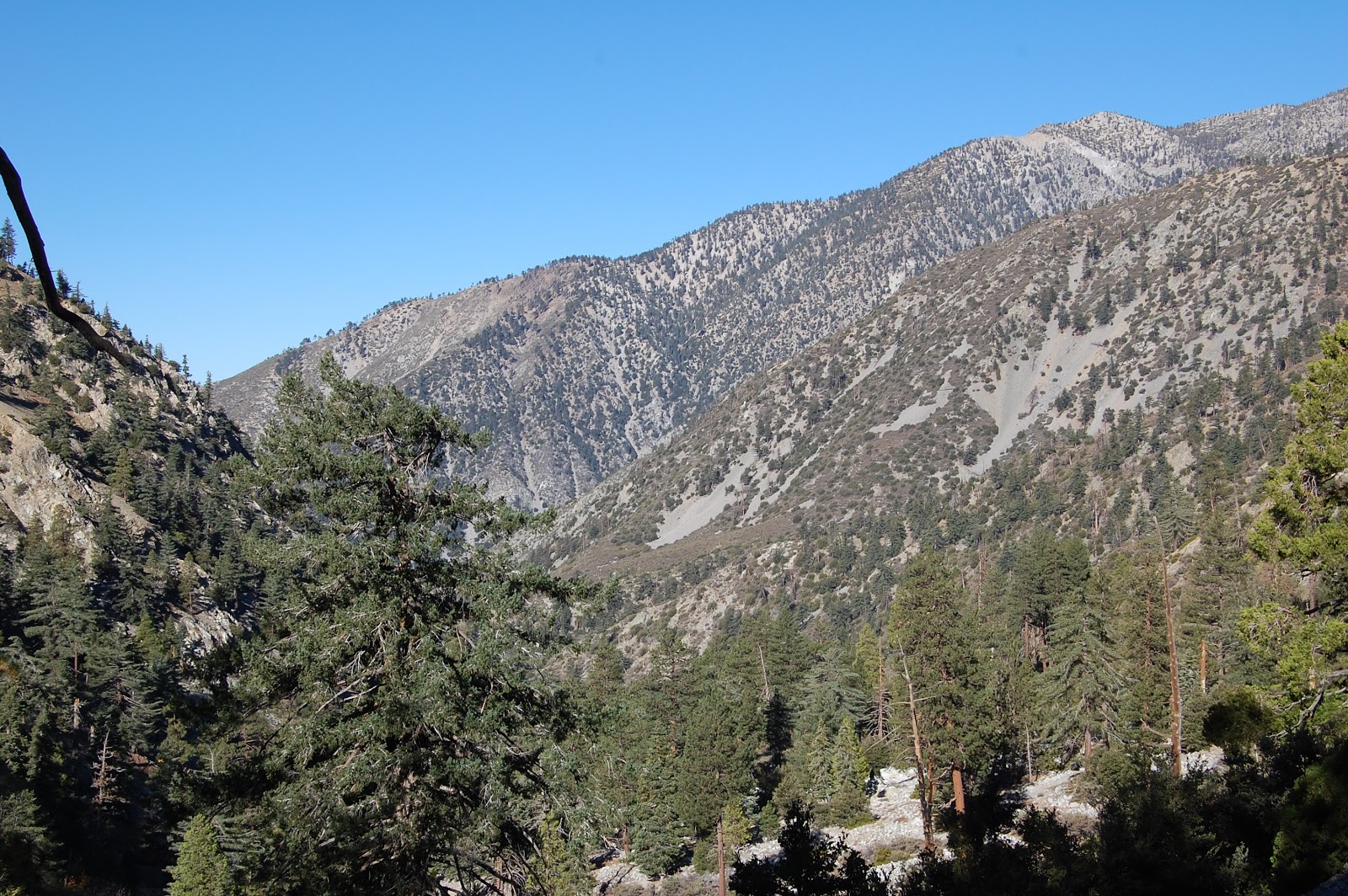 Hiking Timber Mountain | East West Hike