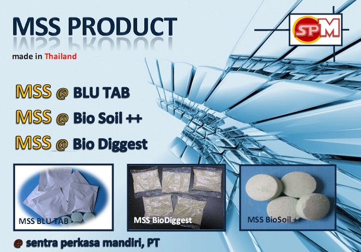 MSS Product - PT SPM