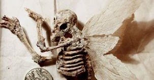 Candlesticks and Cadavers: Fairy Bones