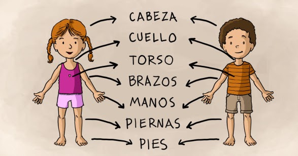 SESION 2:PERCEPCION CORPORAL 3-4 AÑOS