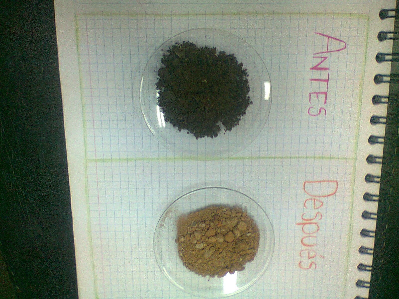 APANGUITO: DETERMINACIÓN DEL PORCENTAJE DE SÓLIDOS, LÍQUIDOS Y GASES.