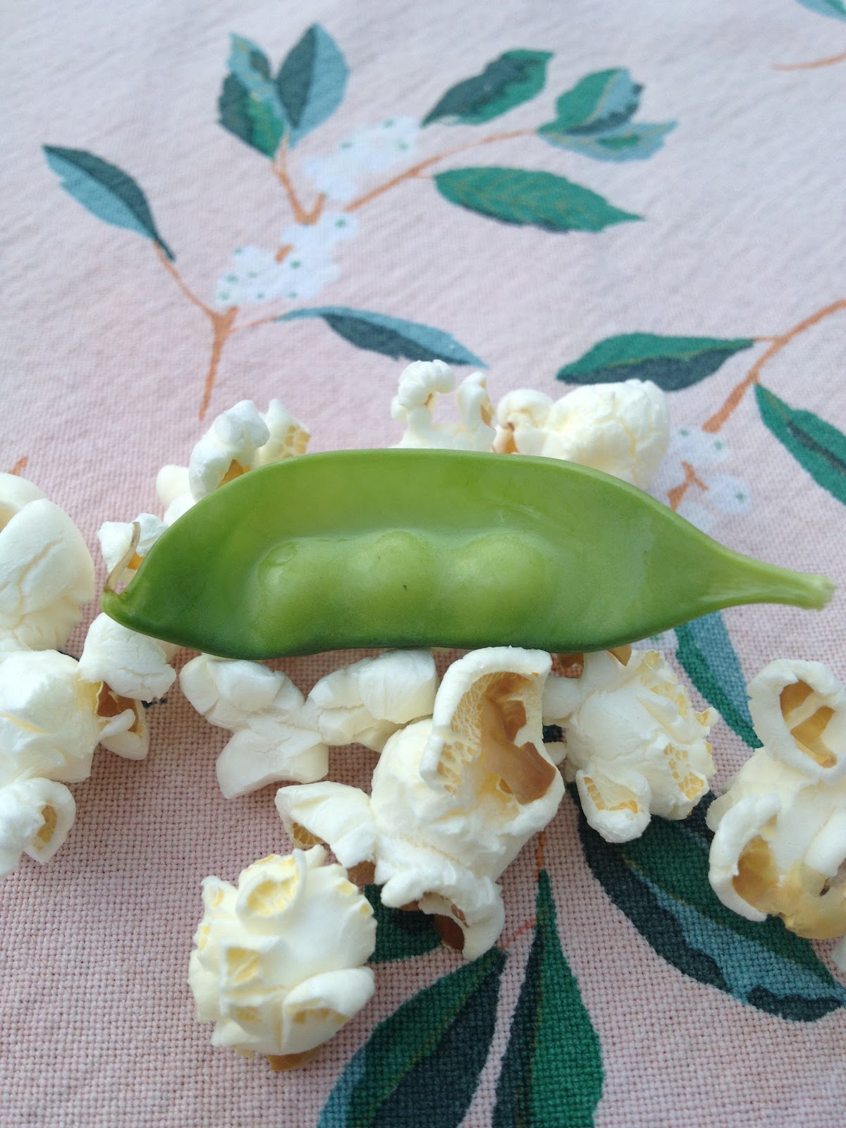 Have You Ever Picked A Carrot?: Wild Maine Blueberries: The King of Fruits