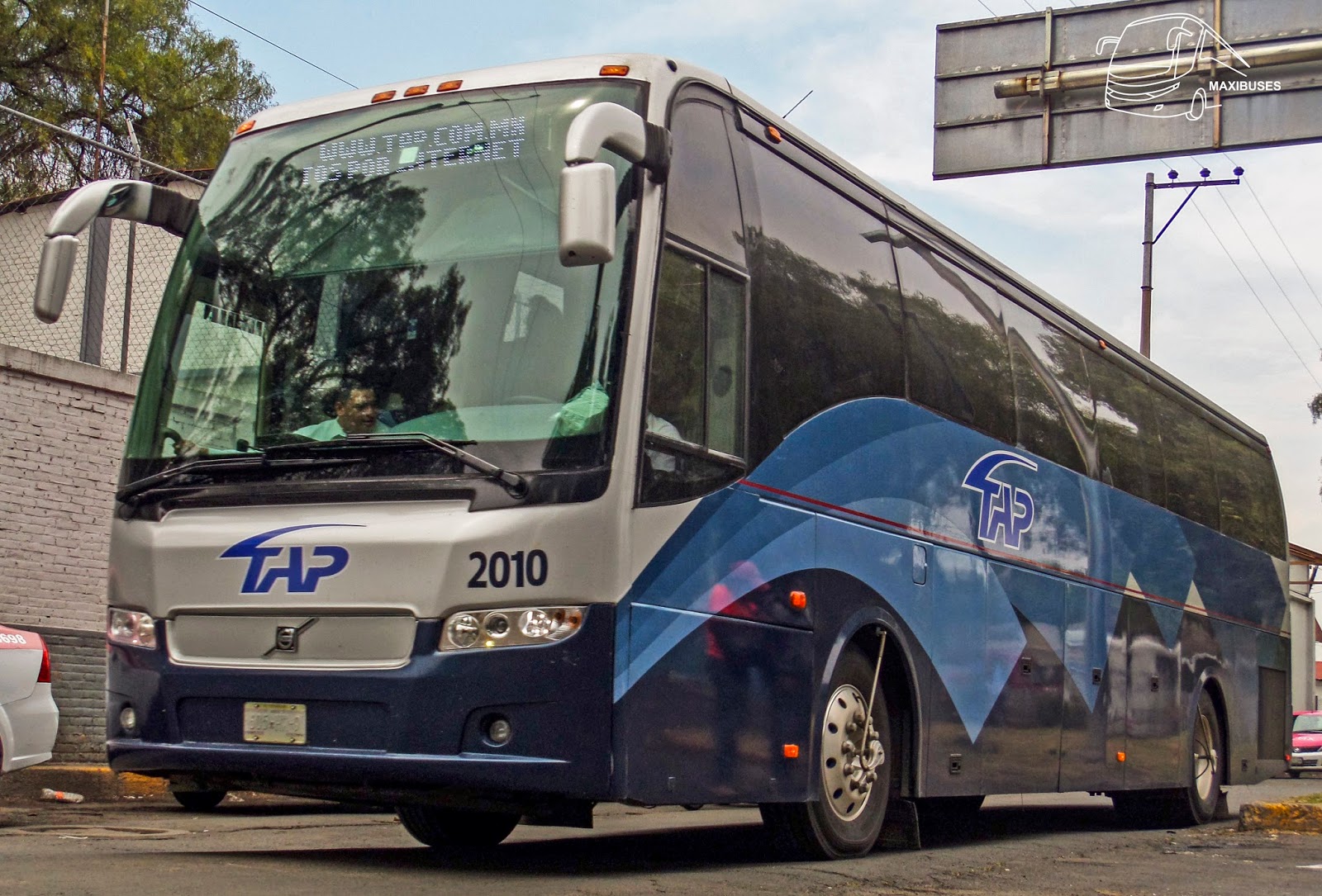 MAXIBUSES: TRANSPORTES Y AUTOBUSES DEL PACÍFICO (TAP)