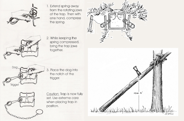 Fieldcraft, Survival, and Security: The 110 Conibear Trap