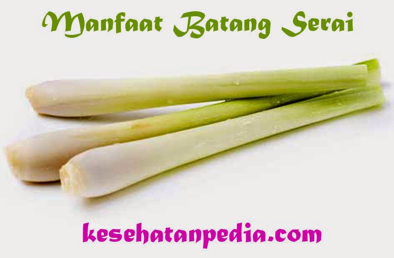 Manfaat Batang Serai bagi Kesehatan Tubuh - kesehatanpedia
