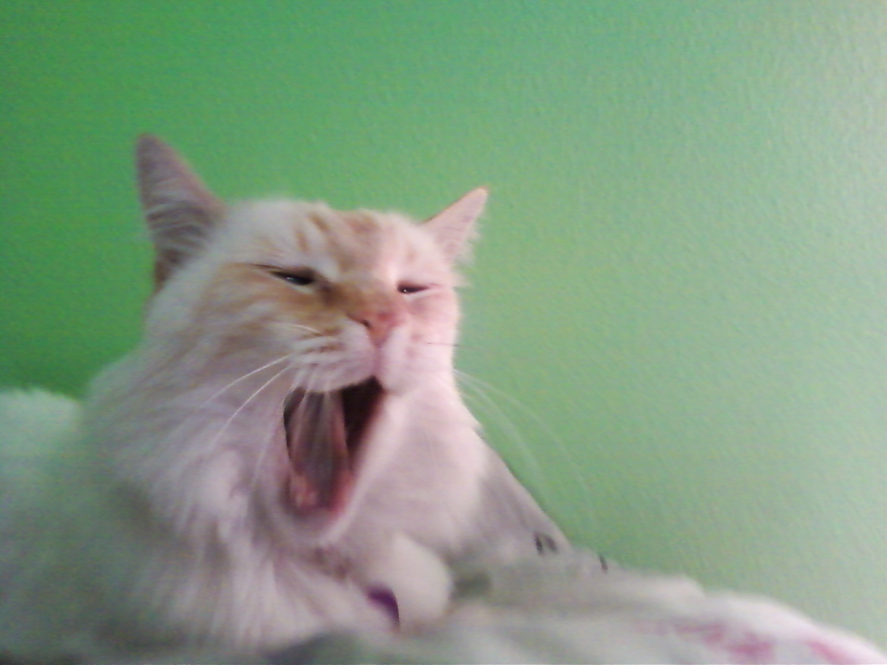 My World In Pictures