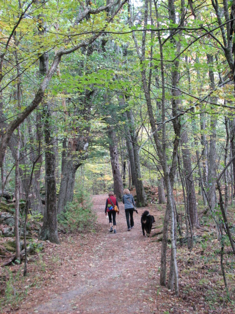 Red Rocks Park -South Burlington, Vermont | Litter with a Story To Tell