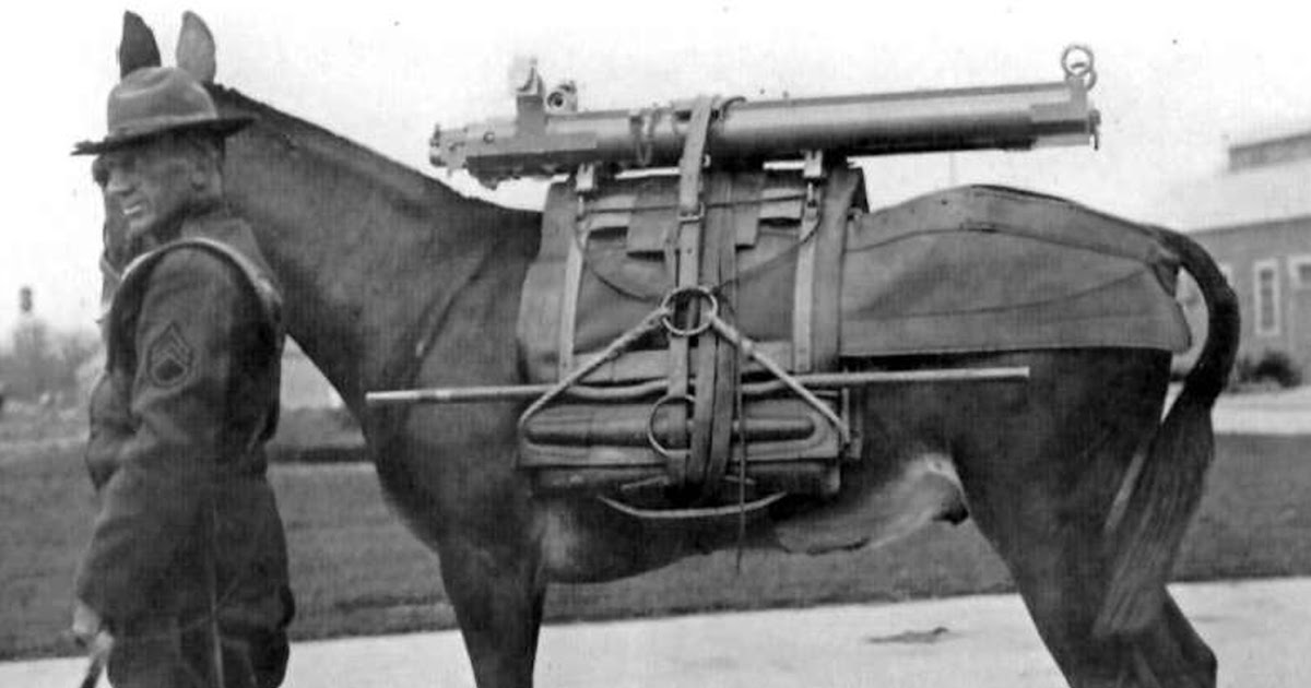 The Historian's Hut Articles: There Was An Incredible Amount Of ...