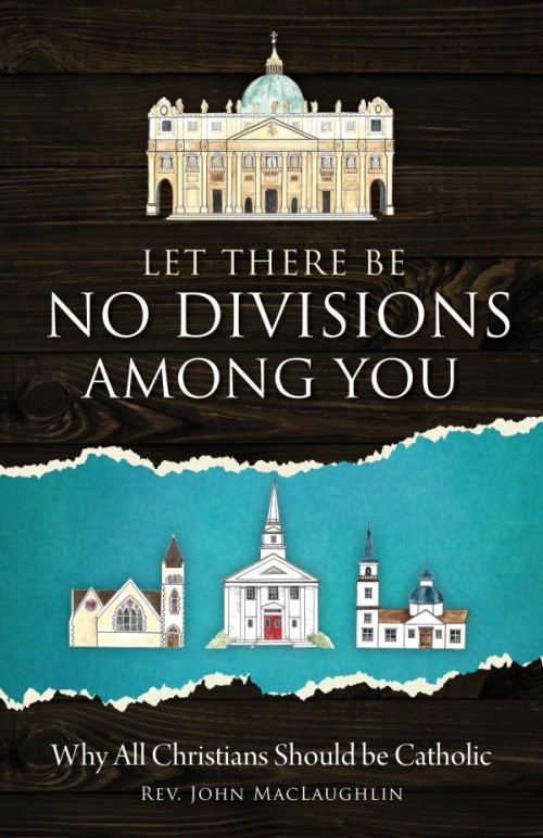 Just a Catholic: Book Review: "Let There Be No Divisions Among You"
