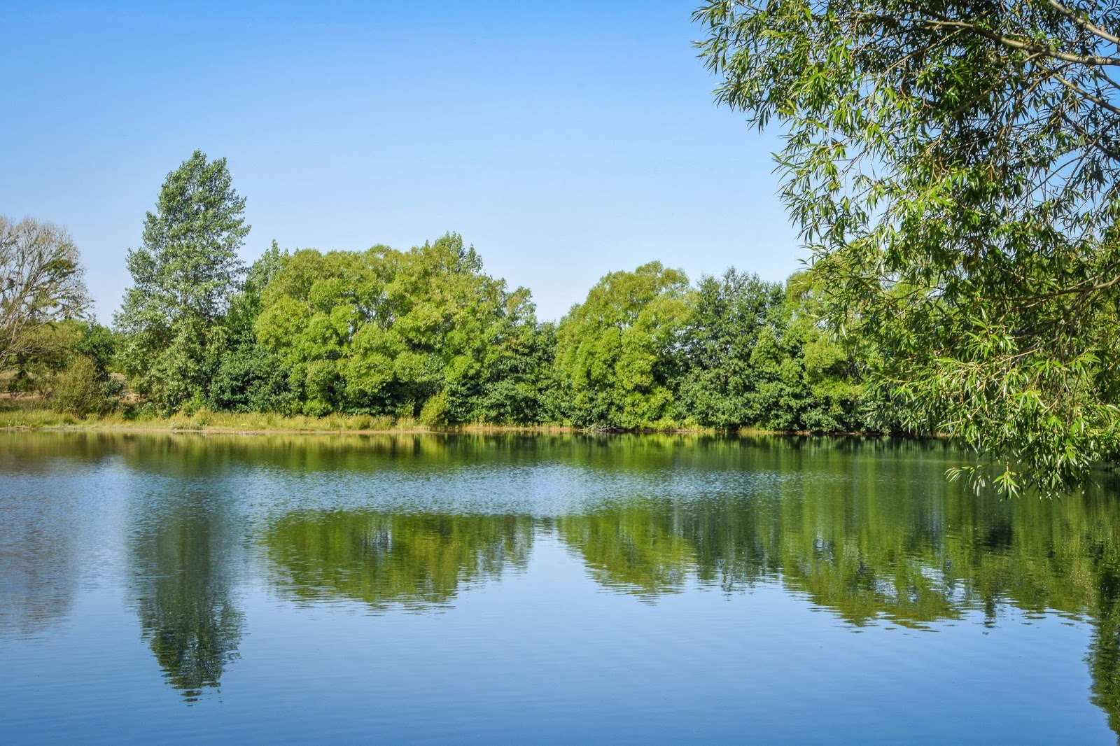 Paws Awhile: Lake Poaka