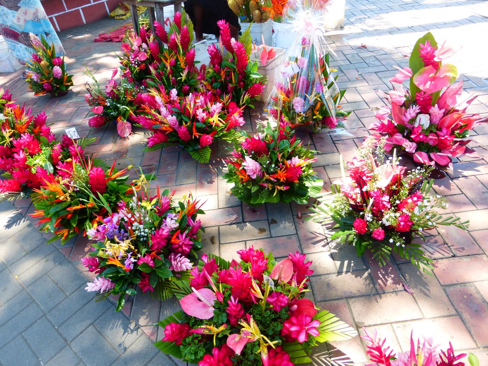 Following Moondance: Cyclone Season in Fiji