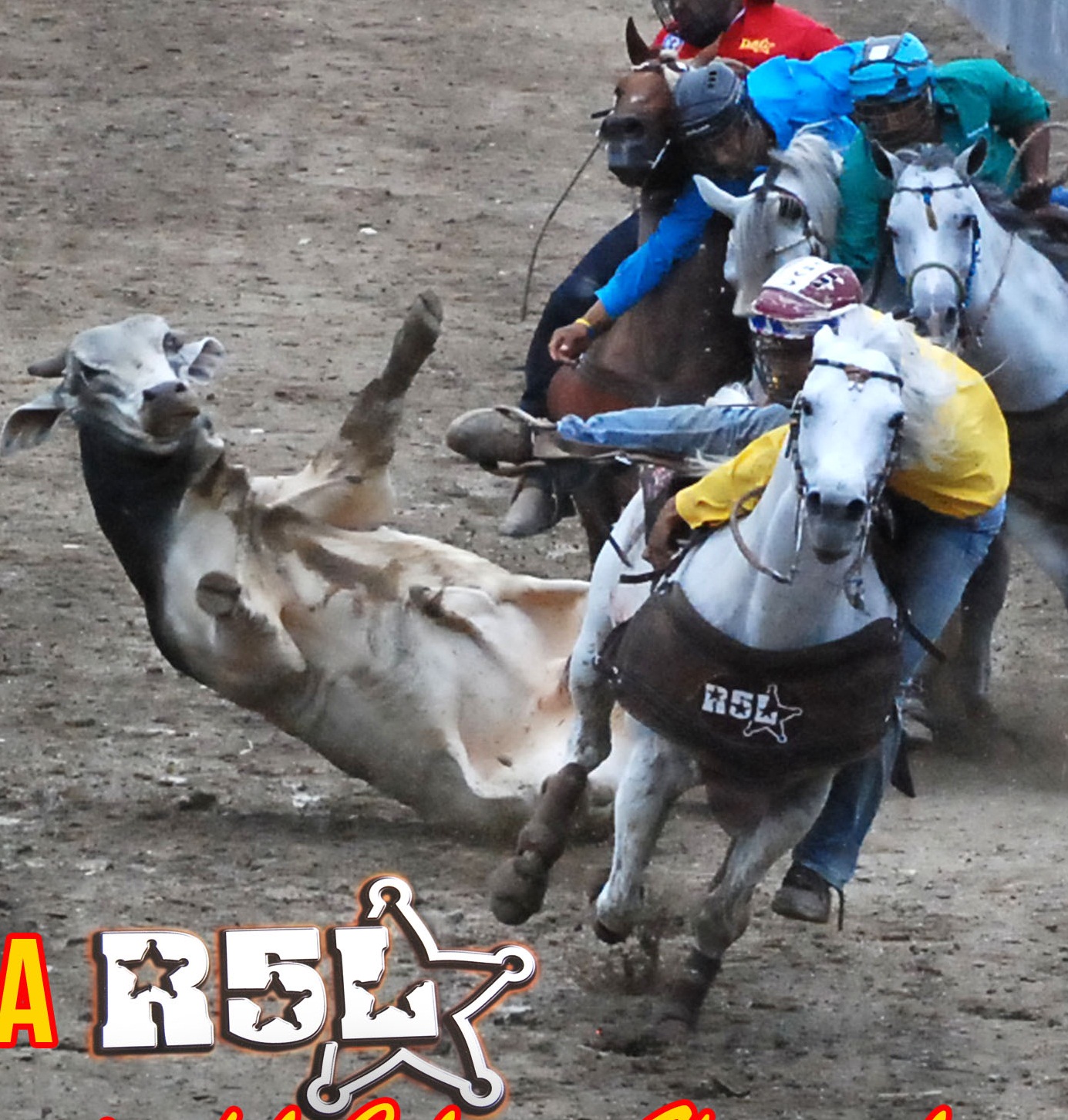 Parranda & Coleaderas