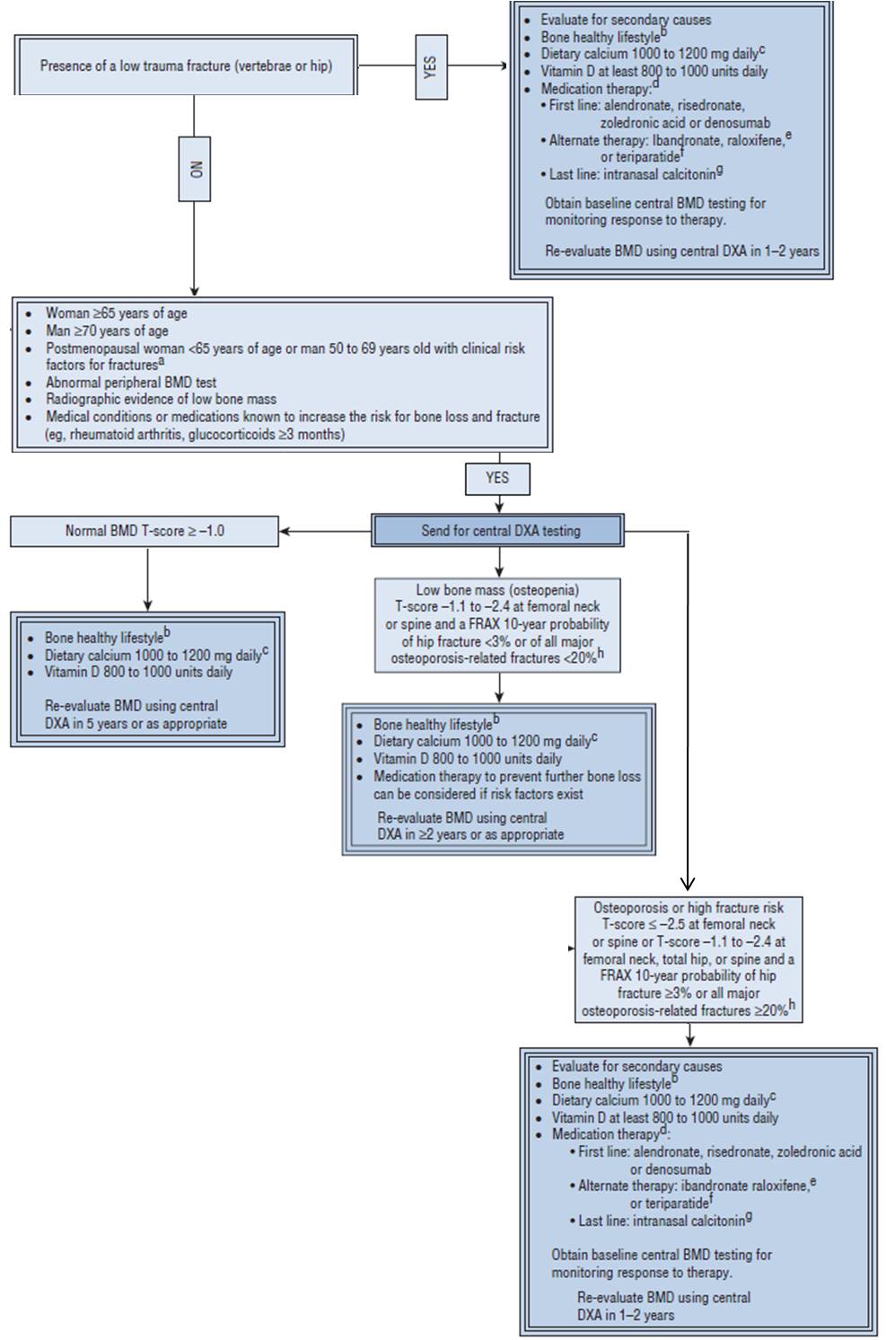 Lifelong Learner Pharmacist: OSTEOPOROSIS TERINDUKSI DM (DIABETES ...
