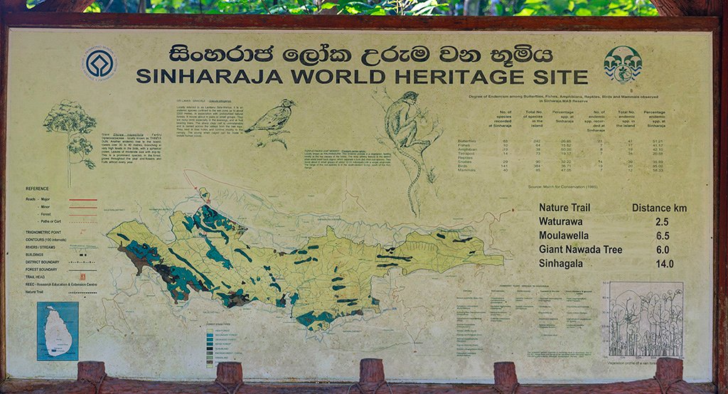 Sinharaja Rain Forest (UNESCO World Heritage Site) | Deniyaya, Sri ...