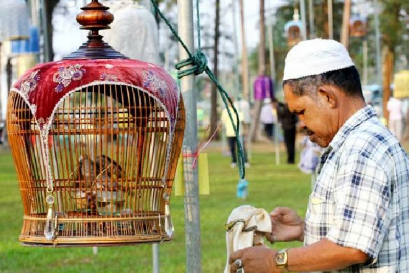 Joy in Thailand: Asean Java Dove Songbird Contest a Yala