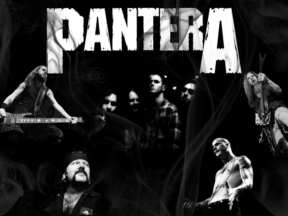 MiWareZ: PANTERA - Discography (MEGA) FLAC