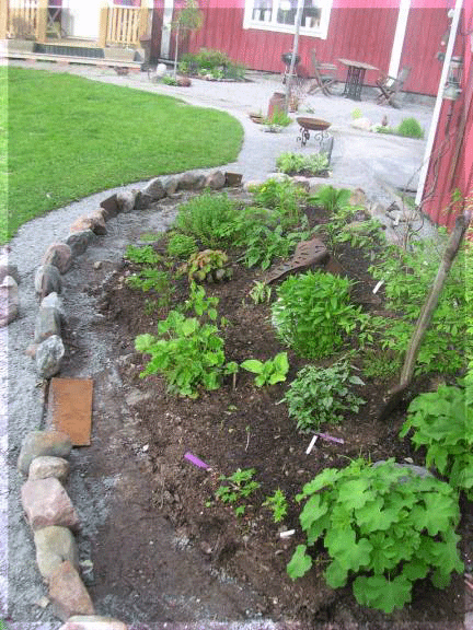 My rented garden: Upphöjda rabatter , så här gör jag.