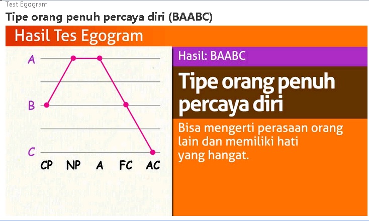 Sehat itu murah dan simple: Hasil Tes Egogram
