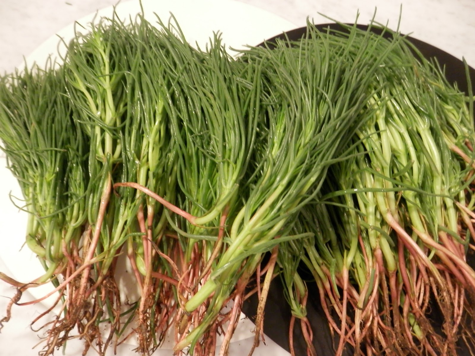 La Cuciniera Moderna: Ricette agretti: la frittata