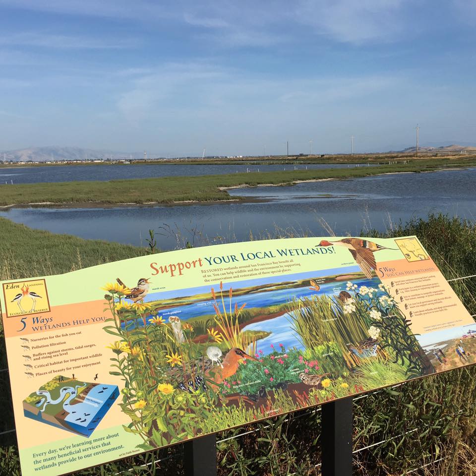 Spectacular Eden Landing Ecological Reserve Now Open to Public