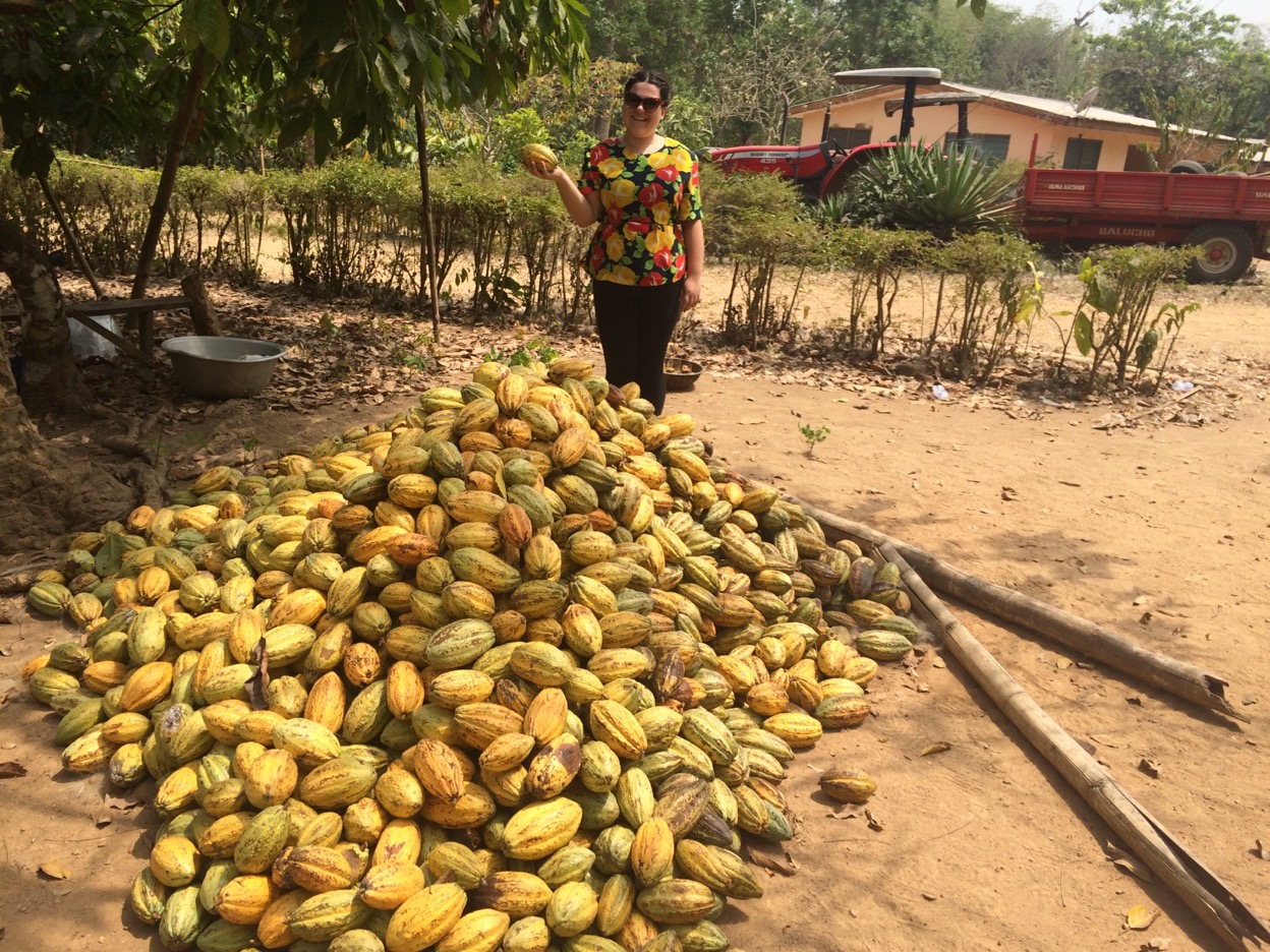 Mel the Locavore: A Bitter, Sweet, Chocolate Forest