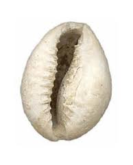 Bábà Olúdàré: A HISTÓRIA DE OSÉTURÀ