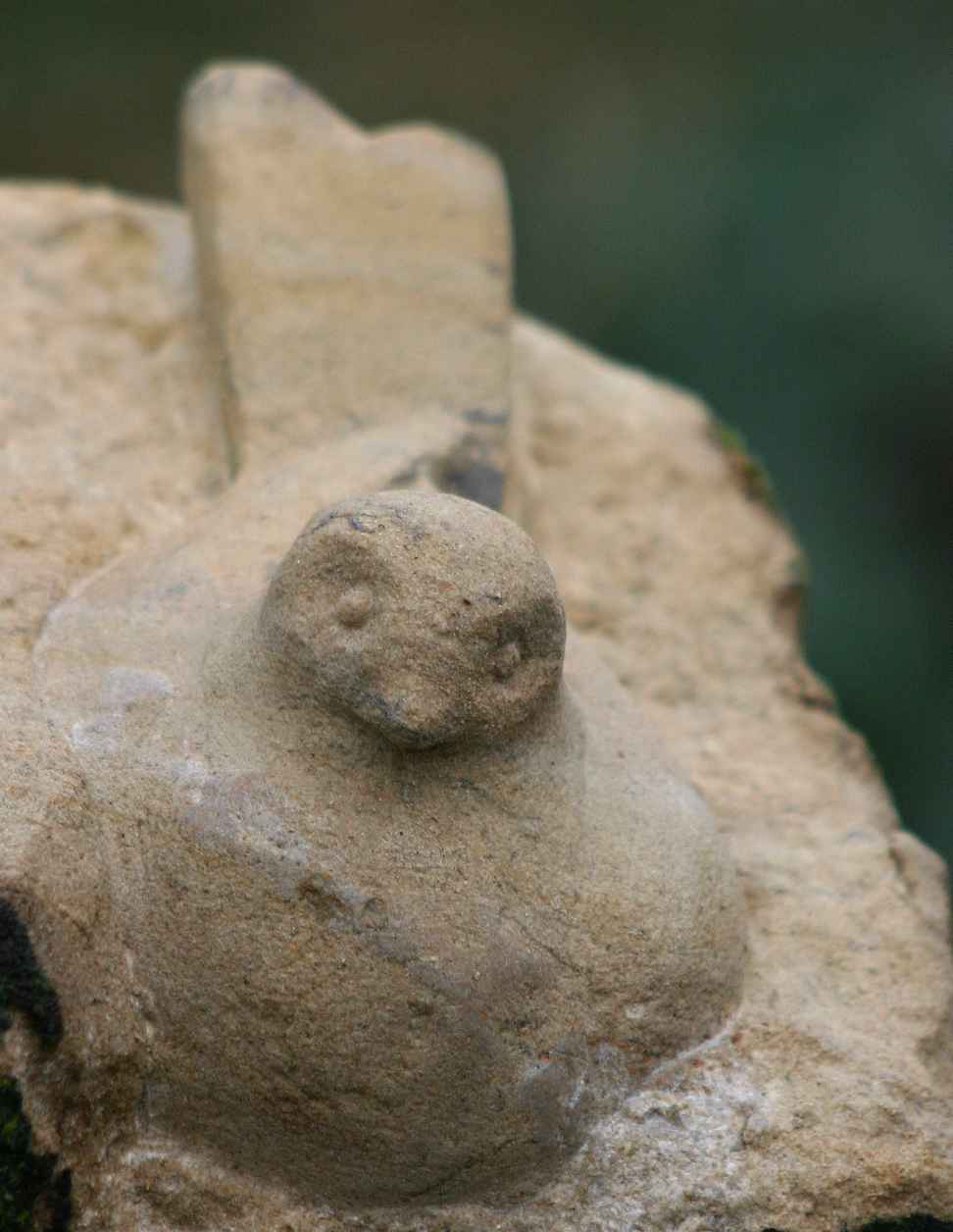 Jennifer Tetlow - Stone Sculpture Journal: Small Stone Birds