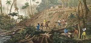 Marinha de Guerra Portuguesa: Colecção de Documentos - 1801 IV