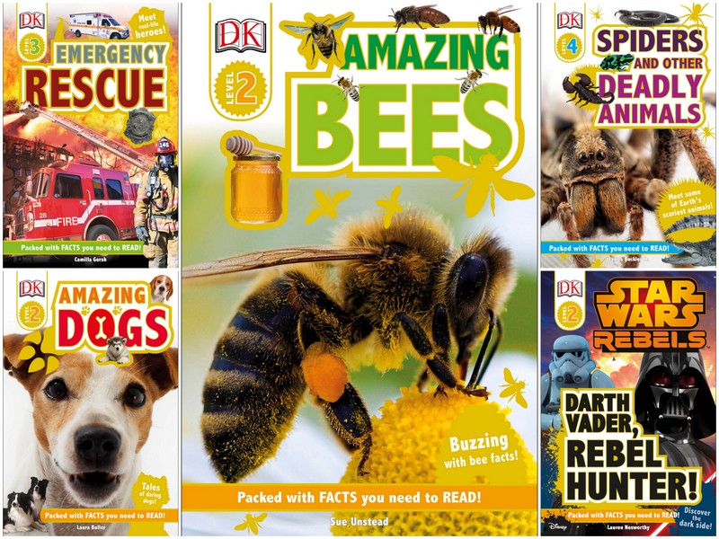 TeacherDance: New DK Books!